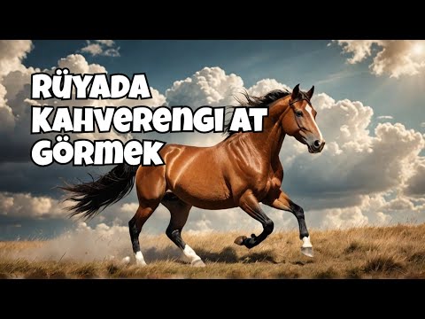 Rüyada Kahverengi At Görmek Ne Anlama Geliyor?- Rüya Tabirleri ve İstihare Yorumları