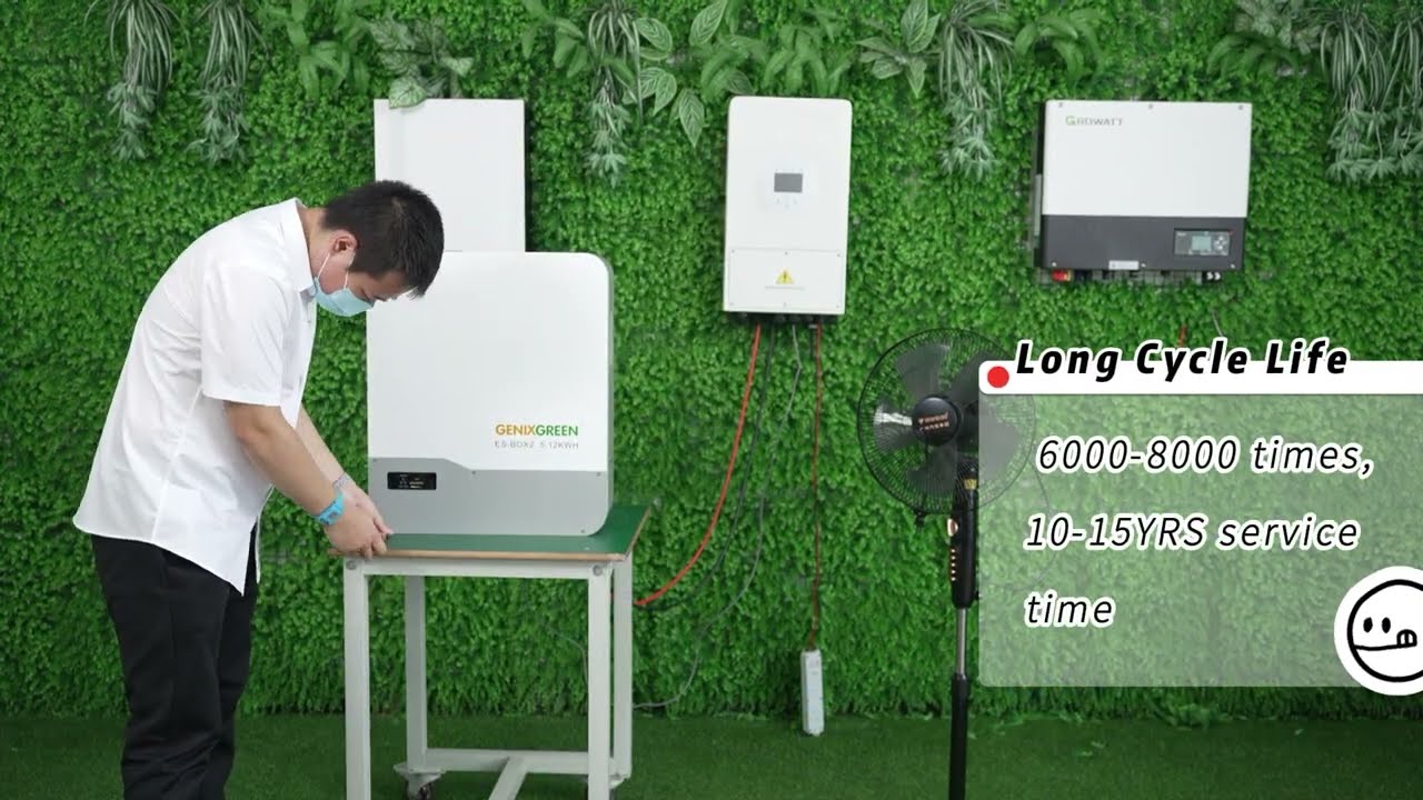 DEYE Inverter and Genixgreen home battery backup system Compatible ...