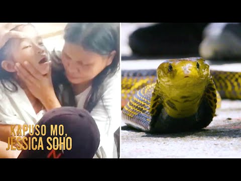 8-anyos na batang natuklaw ng makamandag na cobra, ipinag-pray over?! | Kapuso Mo, Jessica Soho