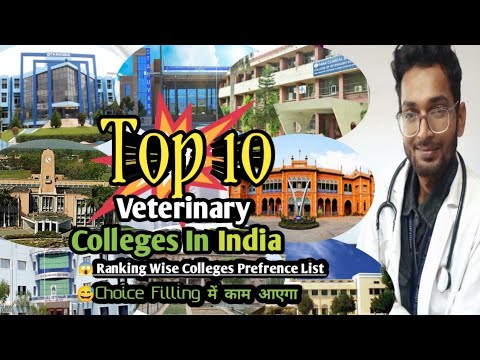 Top 10 Govt Veterinary Colleges In India || Veterinary Colleges Ranking ...
