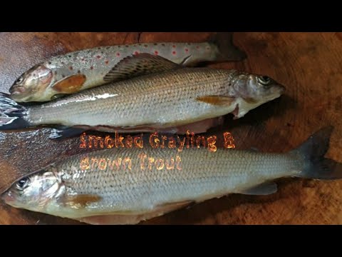 Catch & Cook - Grayling (Lady Of The Stream) & Wild Brown Trout, Smoked ...