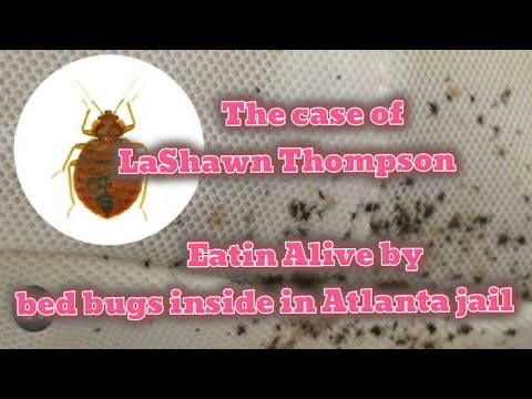 the case of LaShawn Thompson, eaten alive by bed bugs. viewer ...