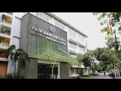 Video Profil Program Diploma IPB - YouTube