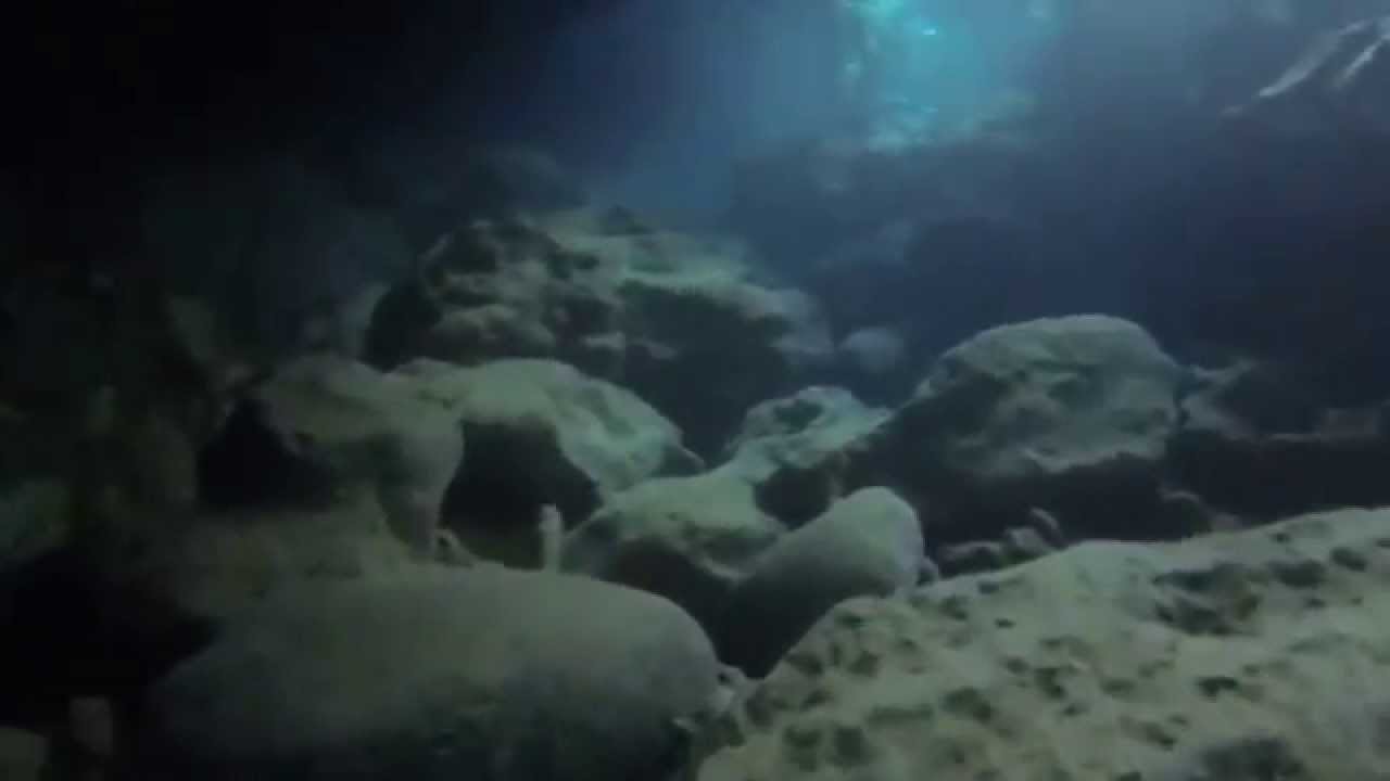 Sharks Cove Cave Diving - YouTube