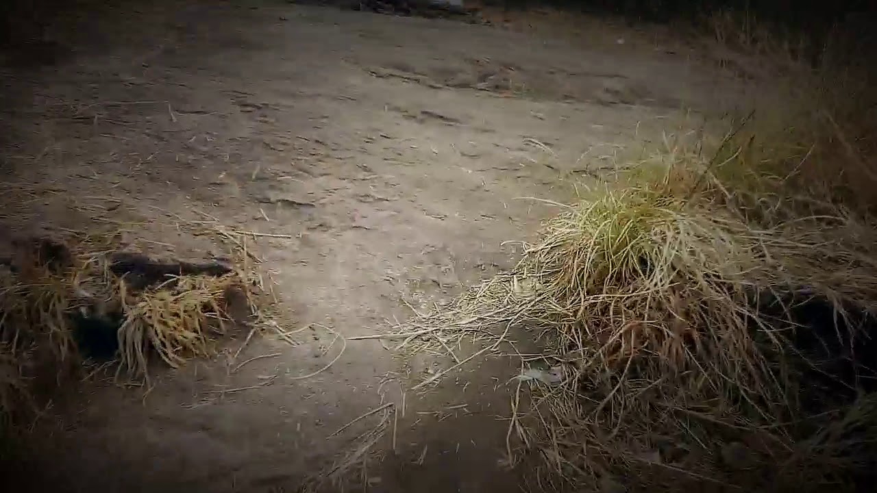 Kottapara hills near kothamangalam.... - YouTube