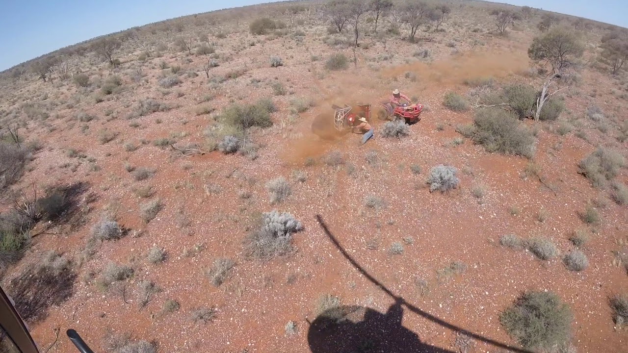 Aerial Mustering Western Australia - YouTube