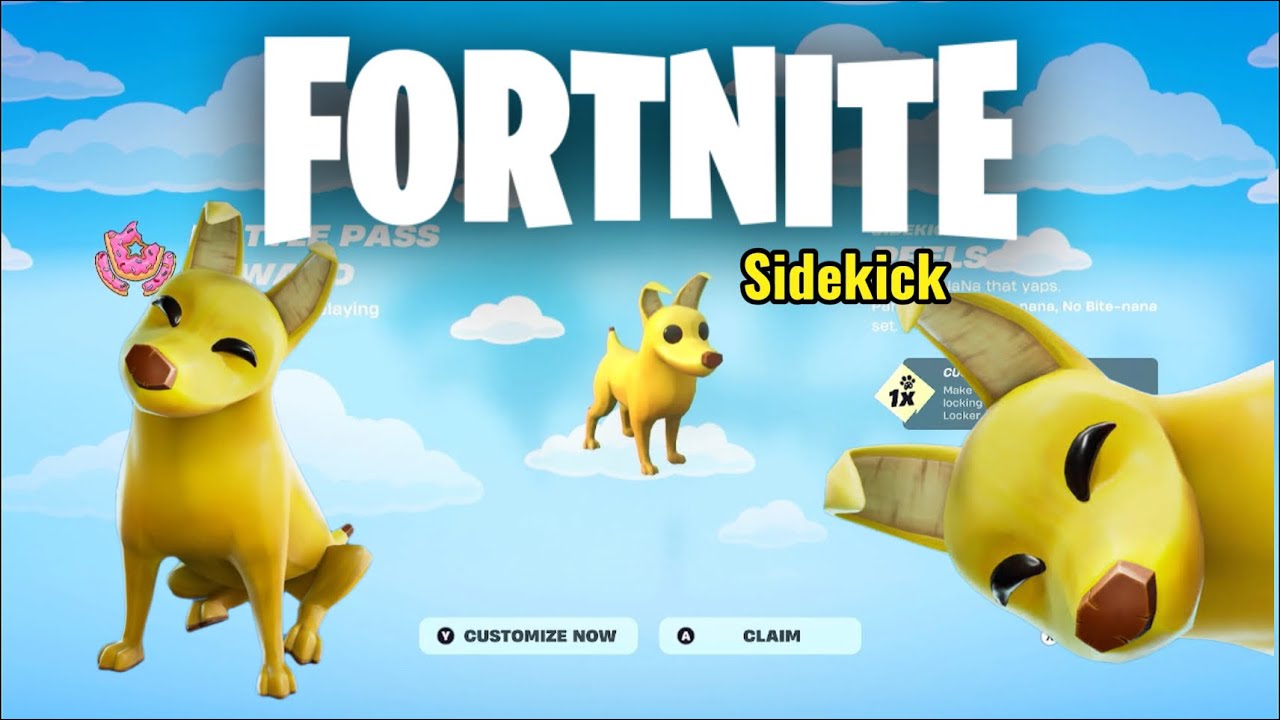 NEW Fortnite Sidekick - YouTube