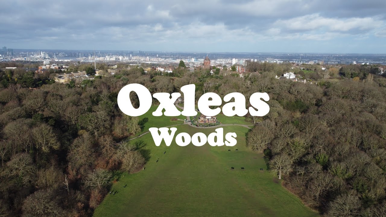 Oxleas Woods | DJI Mini 2 - YouTube
