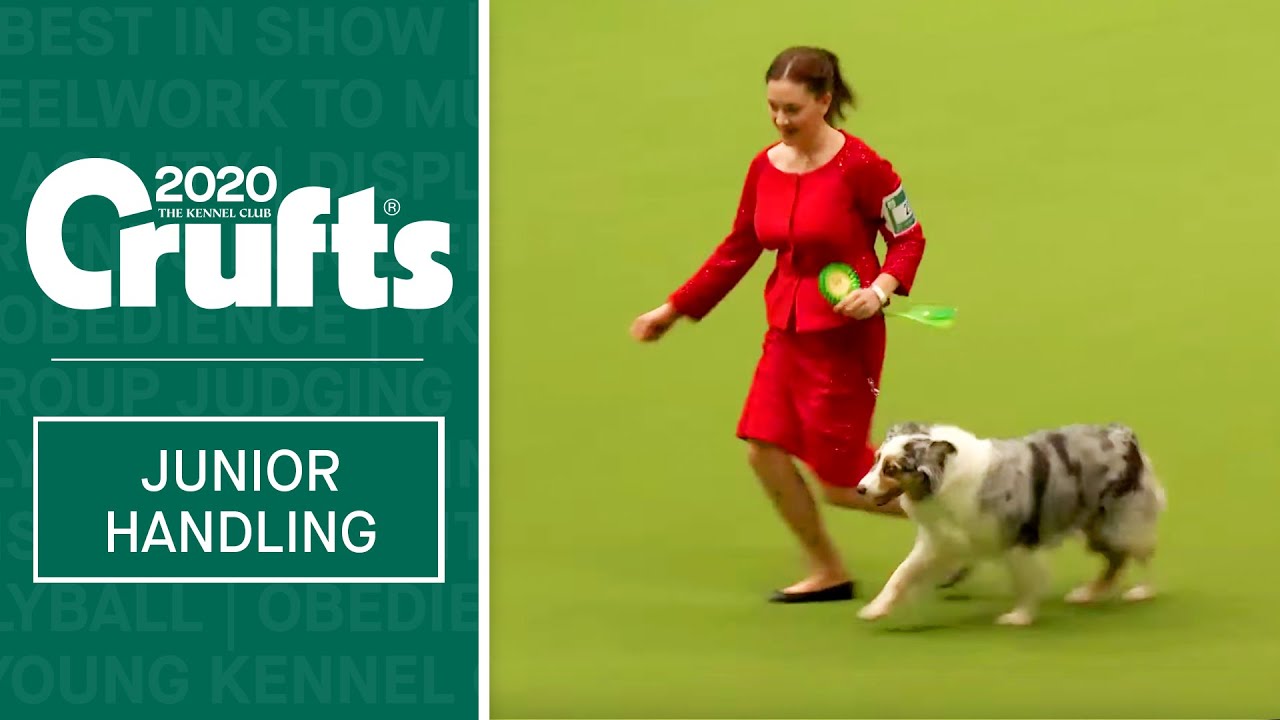 International Junior Handling Competition - Session 1- Part 2 | Crufts ...