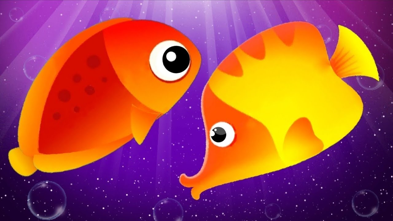 Fish Animation🐡 |Fishes| - YouTube