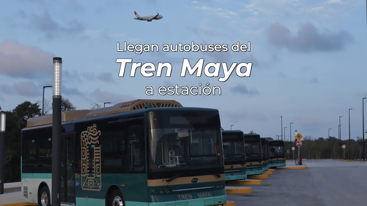 Llegan autobuses del Tren Maya a estación - YouTube