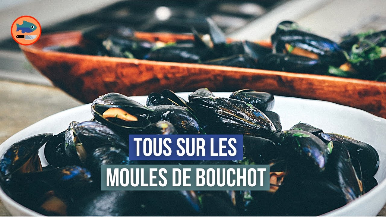 Tous sur les moules de bouchot (Reportage) - YouTube