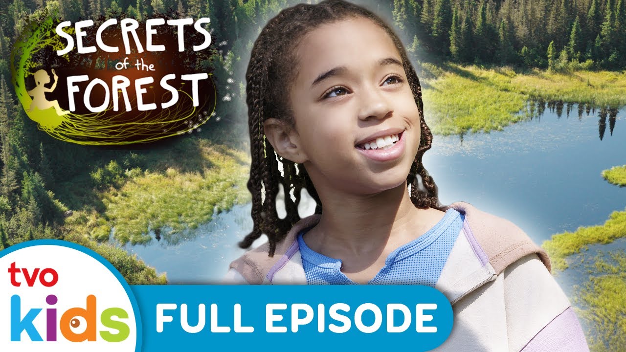 The Great Big Boreal 🍃 SECRETS OF THE FOREST 🌳 Eco-Adventures Across ...