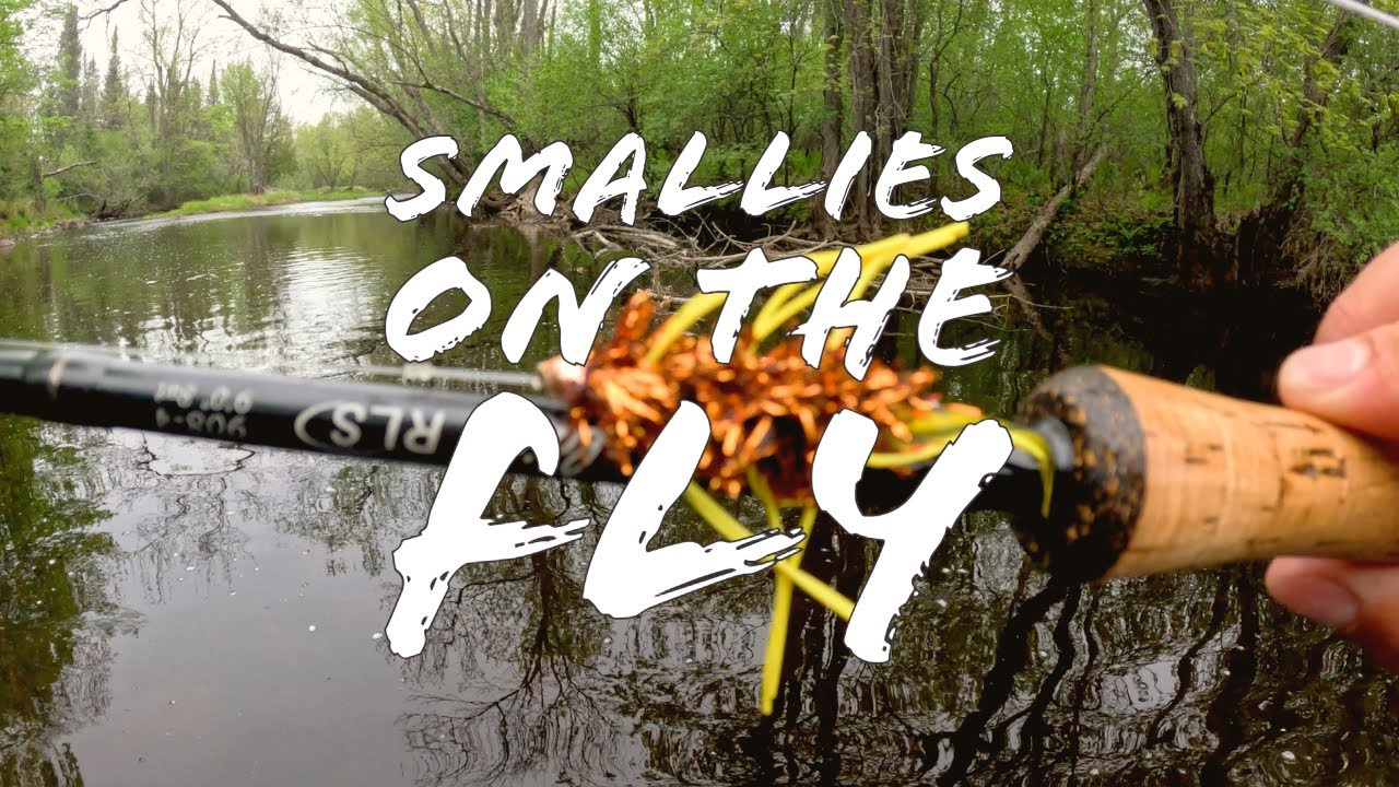 Upper Peninsula Michigan FLY FISHING | Smallmouth on the fly - YouTube