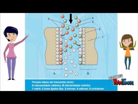 Intercambio ionico - YouTube