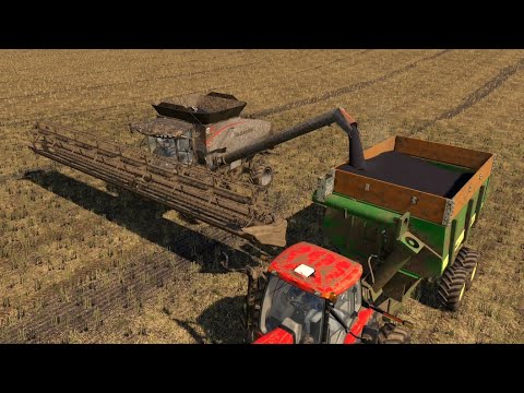 Richport Ep#10 | Harvest | FS19 Timelapse | Farming Simulator 19 - YouTube