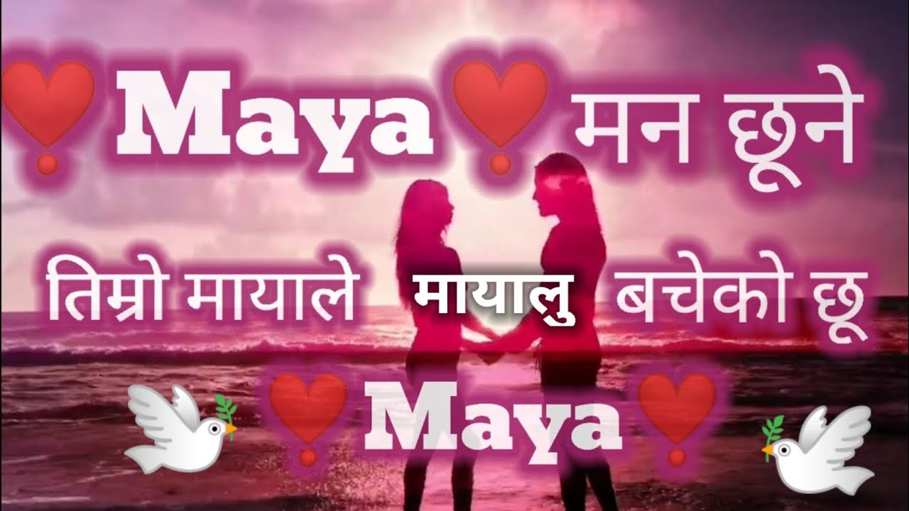 Meri maya ️Nepali love 🌹shayari||Mutu vitrako maya🌹 love shayeri nepali ...
