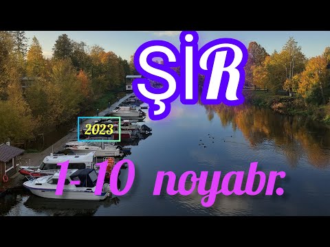 ŞİR BÜRCÜ. ♌️ 1 - 10 noyabr. 2023.