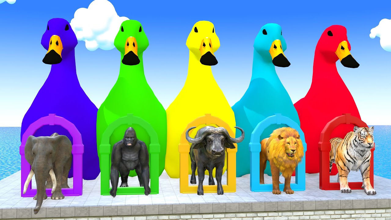 3D Animal Slide Game with Elephant, Gorilla, Buffalo, Lion & Tiger ...