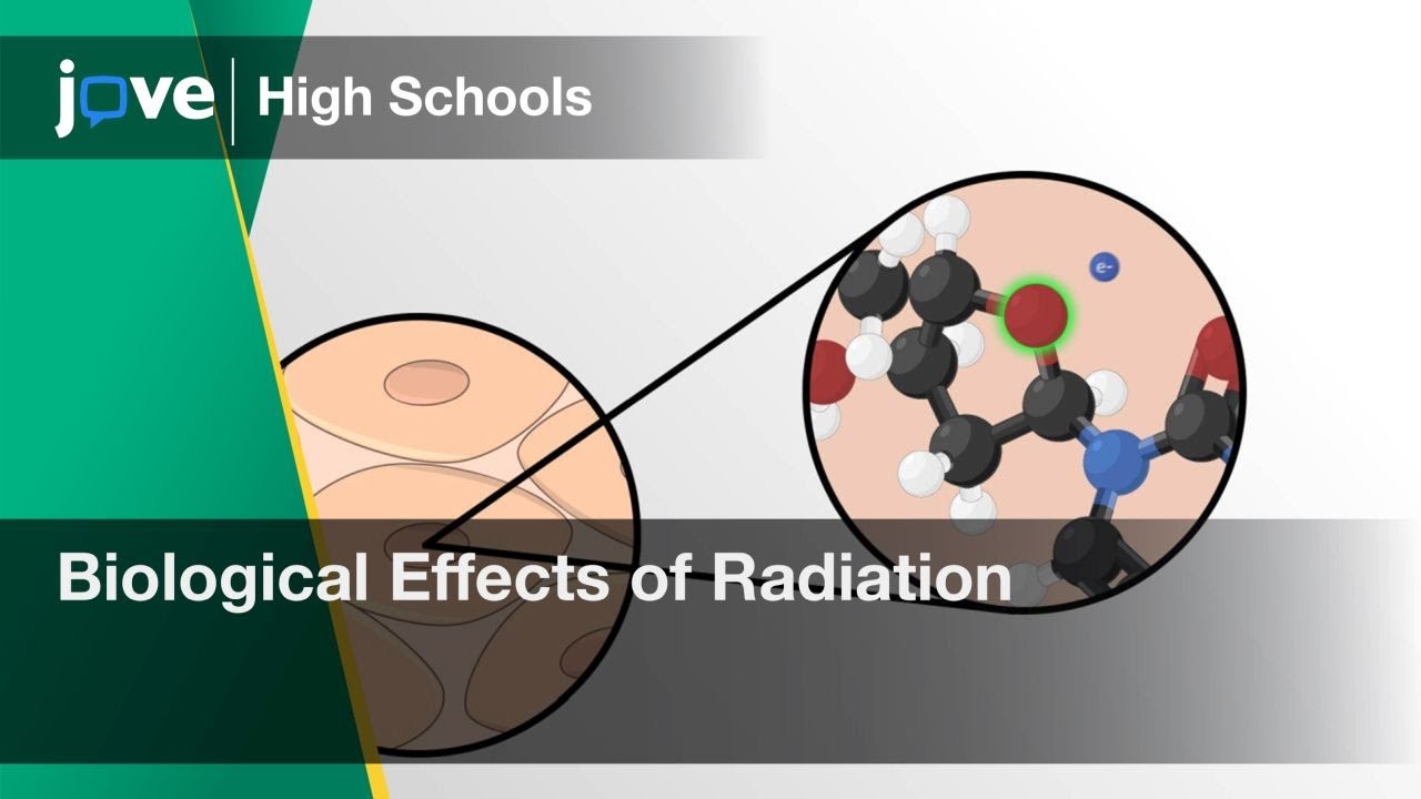 Biological Effects of Radiation | Chem | Video Textbooks - Preview ...