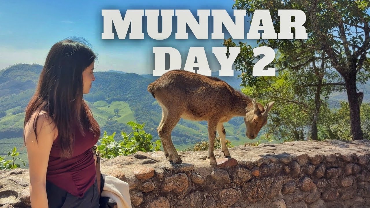 Munnar | Eravikulam National Park, Nilgiri Tahr 🐐 | Chinnar Jungle Trek ...