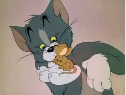 Tom and jerry fight WhatsApp status cartoon