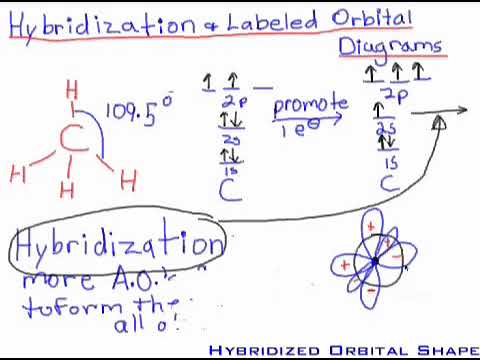 8. Hybridization: Part 1 - Hybridization and Labeled Orbital Diagrams ...