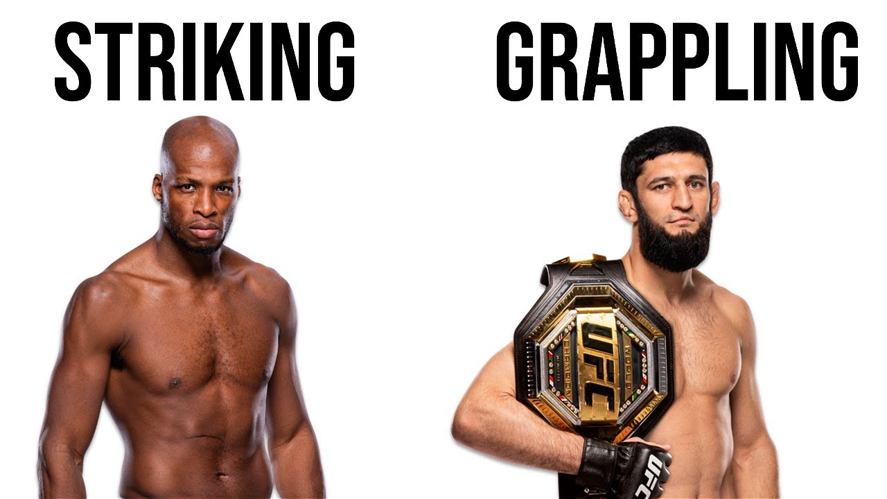 Building The Best Possible UFC Fighter In Each Weight Class - YouTube