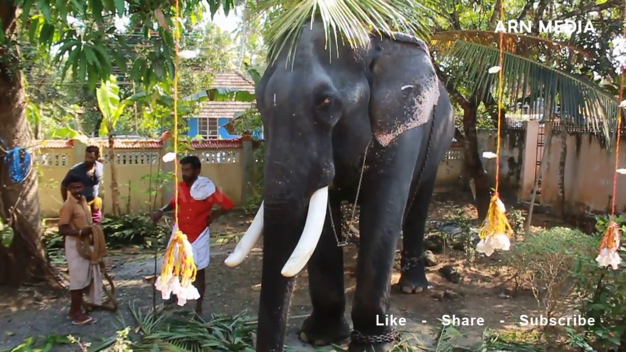 Thechikottukavu Devidasan ( Karutha Muthu ) - YouTube