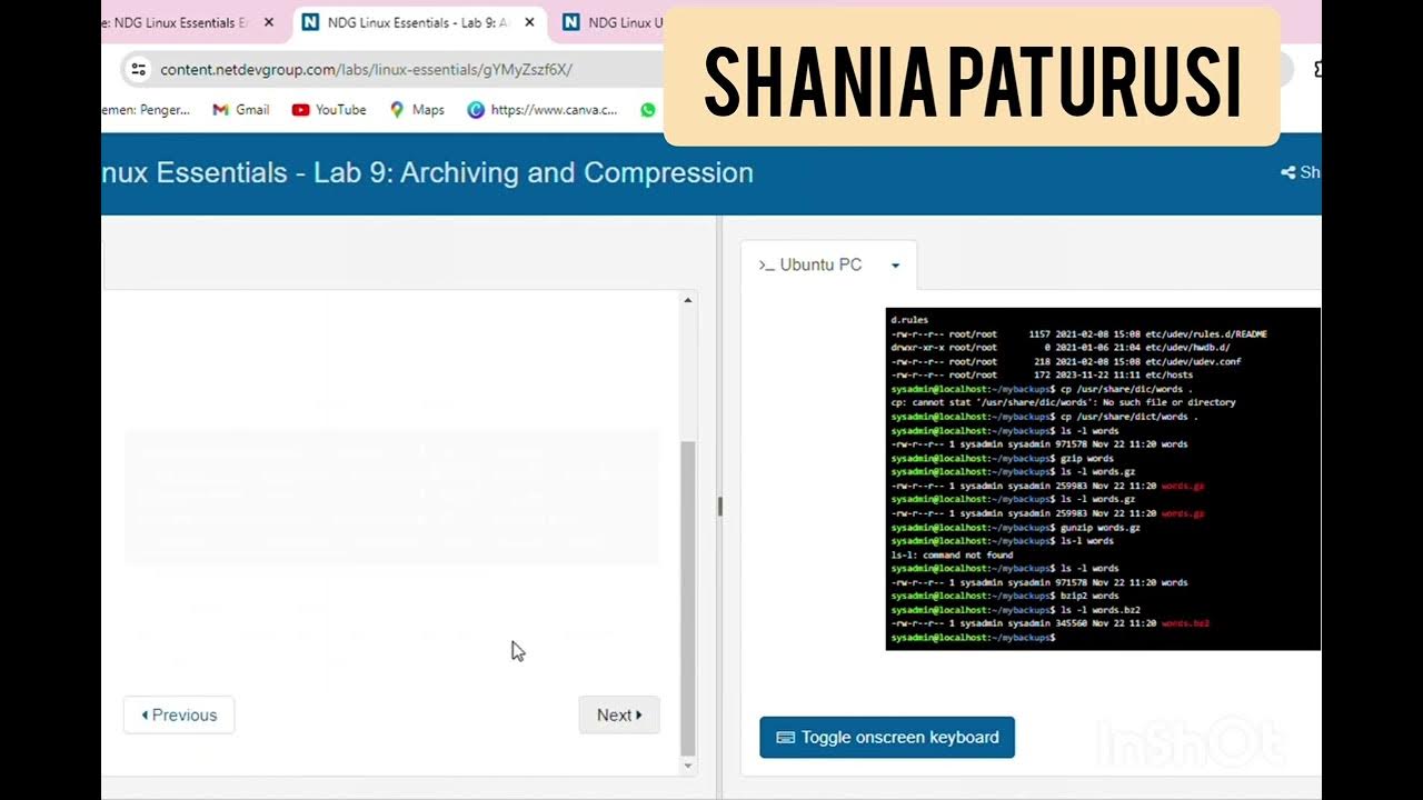 LINUX ESSENTIALS LAB 09 ARCHIVING AND COMPRESSION - YouTube