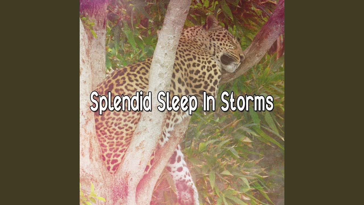 Rainforest Storm - YouTube