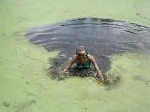 Becca in a dirty pond. - YouTube