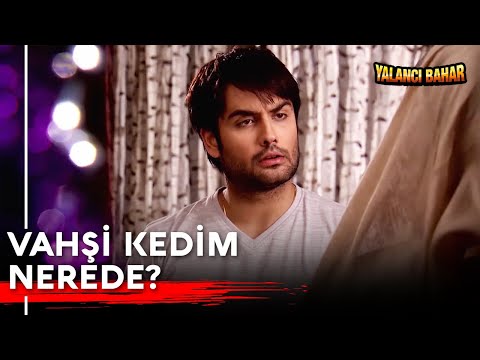 Arkey, Madhu'yu Merak Etti | Yalancı Bahar Hint Dizisi 165. Bölüm