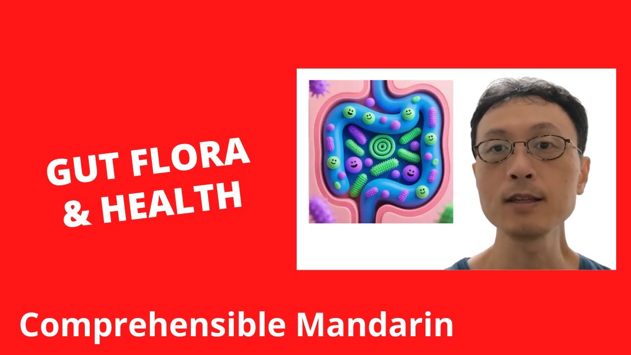 Gut Flora & Health - Chinese Comprehensible Input - YouTube