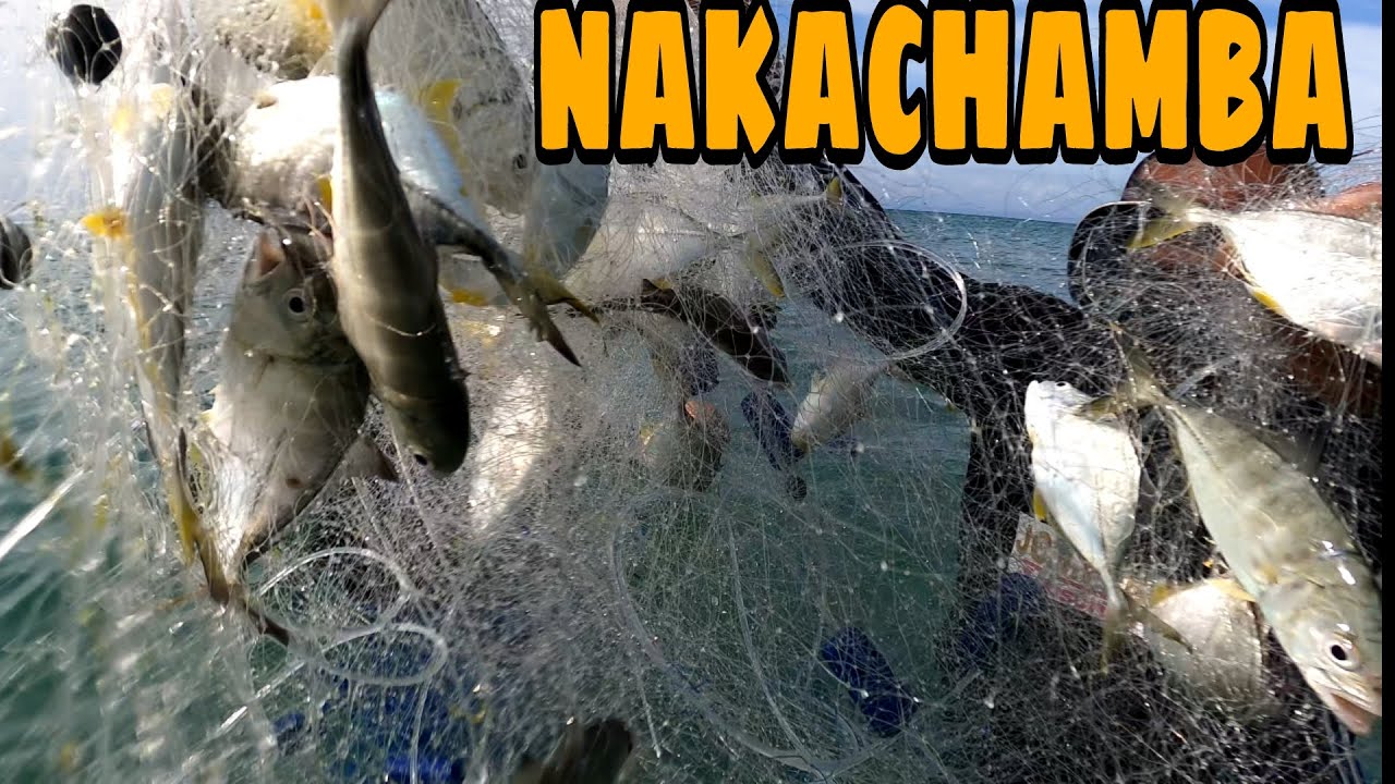 FISHING ADVENTURE NAKA CHAMBA NG MGA MALIPOTO/TALAKITOK SA MABABAW LANG ...
