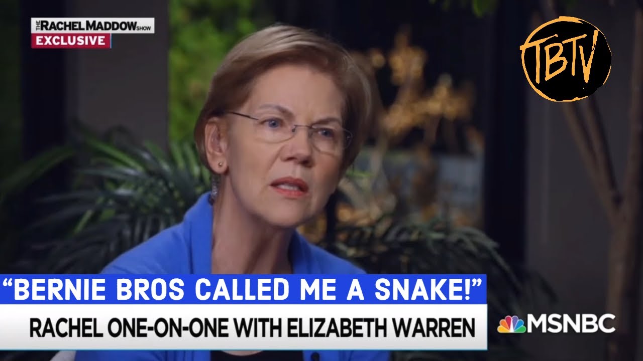Elizabeth Warren Blames Bernie Supporters For Everything - YouTube