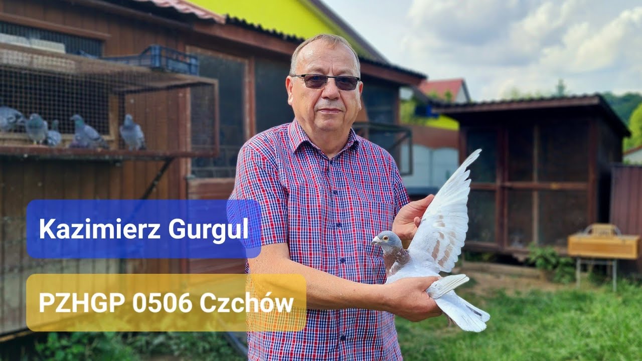 Kazimierz Gurgul - PZHGP 0506 Czchów / Historia hodowli & Słynny As ...