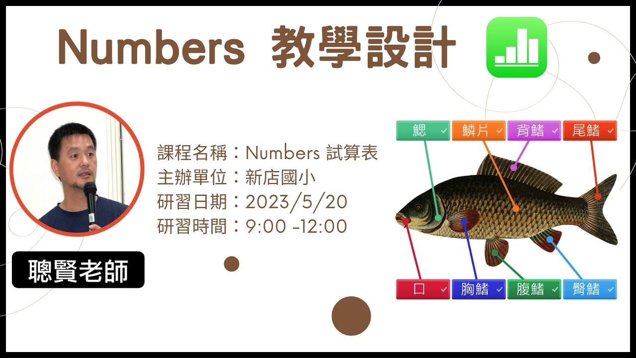 Number B13 魚類功能測驗製作 - YouTube