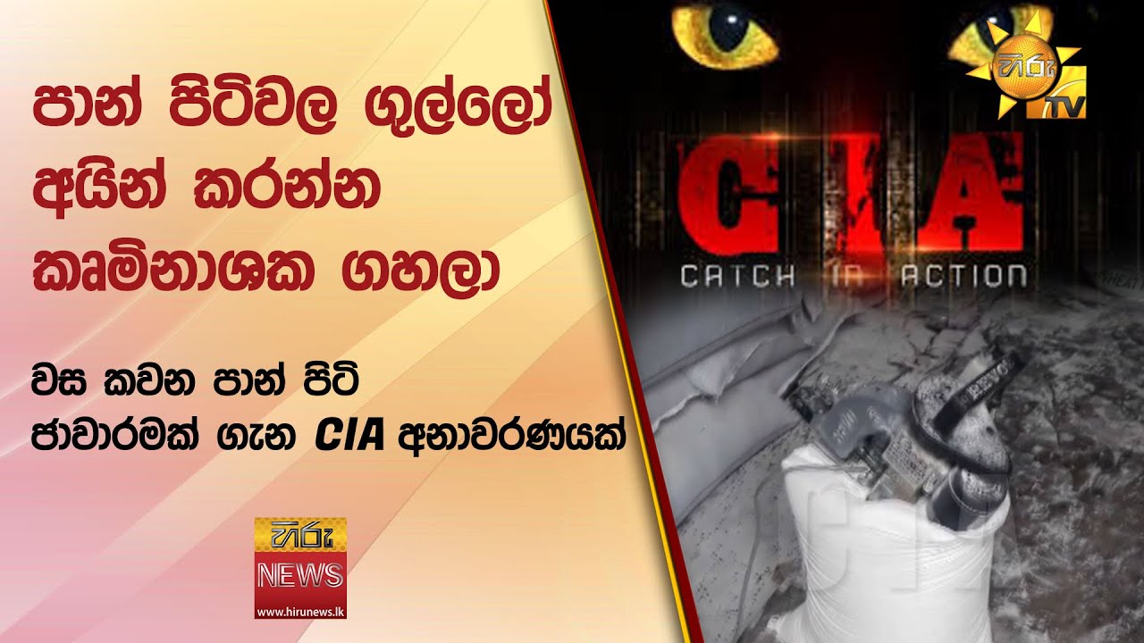 පාන් පිටිවල ගුල්ලෝ අයින් කරන්න කෘමිනාශක ගහලා - වස කවන පාන් පිටි ...