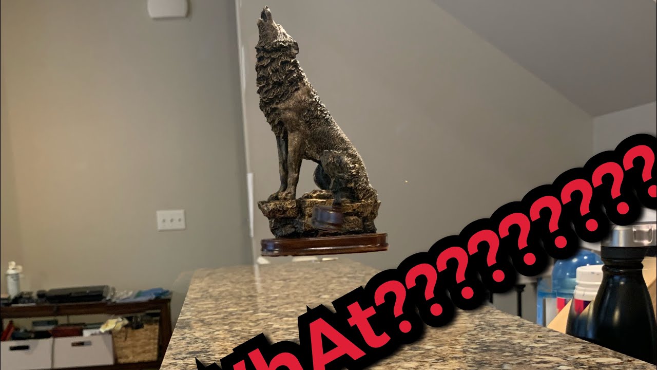 How to Move Objects With Your Mind - YouTube