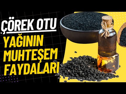 Çörek Otunun Faydaları Nelerdir? Çörek otu yağı nasıl kullanılır?