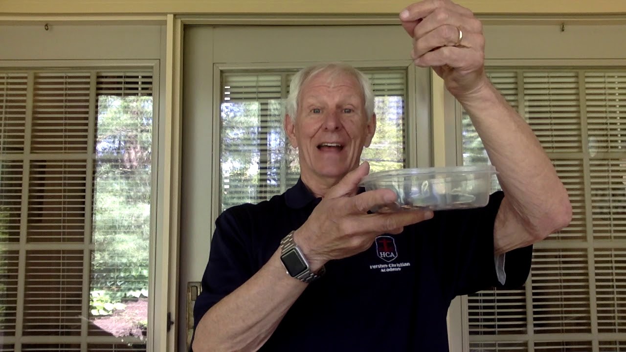 Virtual Field Day: Penny Stack: Minute to Win It - YouTube