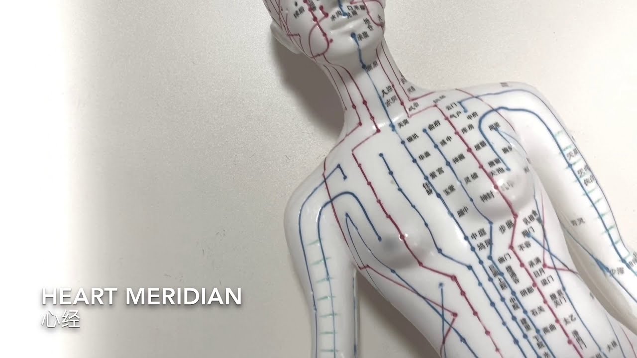 Heart meridian, the hidden self healing power for heart is here。心经，所有疗愈 ...