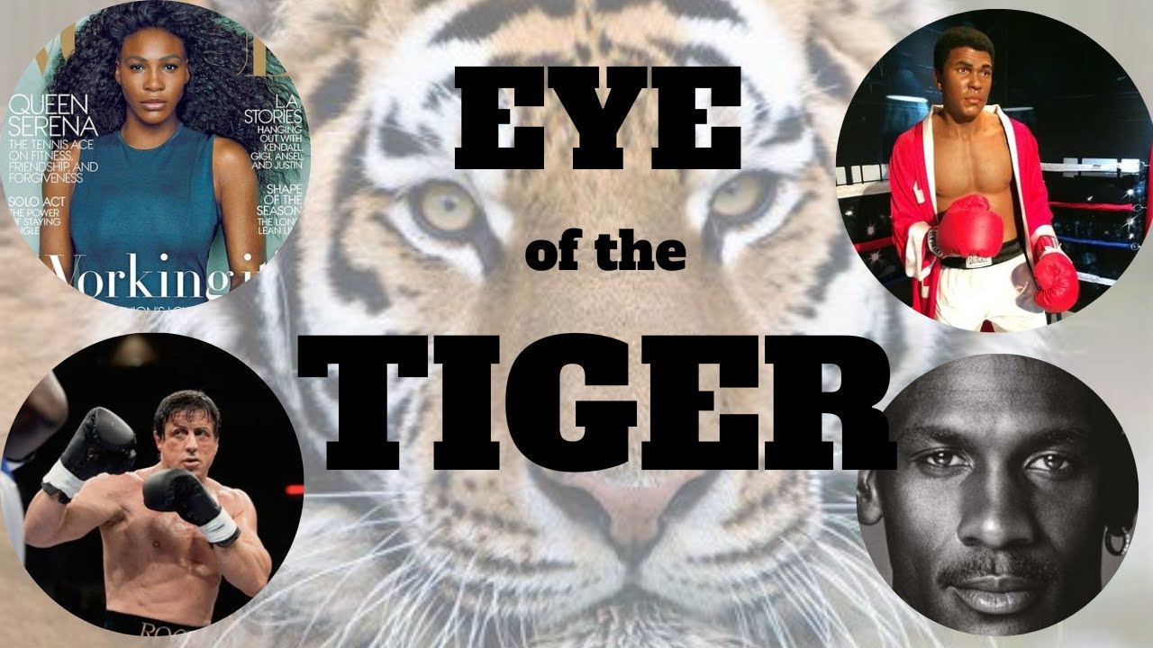 Unleash the Eye of the Tiger Mentality: How to Pursuit of Your Goals ...