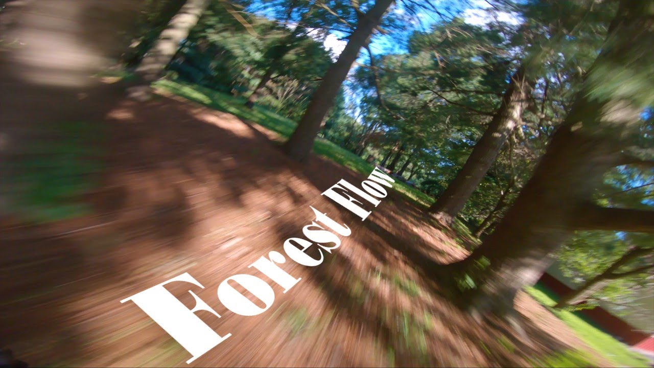 Forest Flow - FPV Freestyle - YouTube