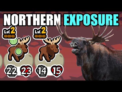 Northern Exposure - Super Auto Pets - Double Level 2 Moose - YouTube