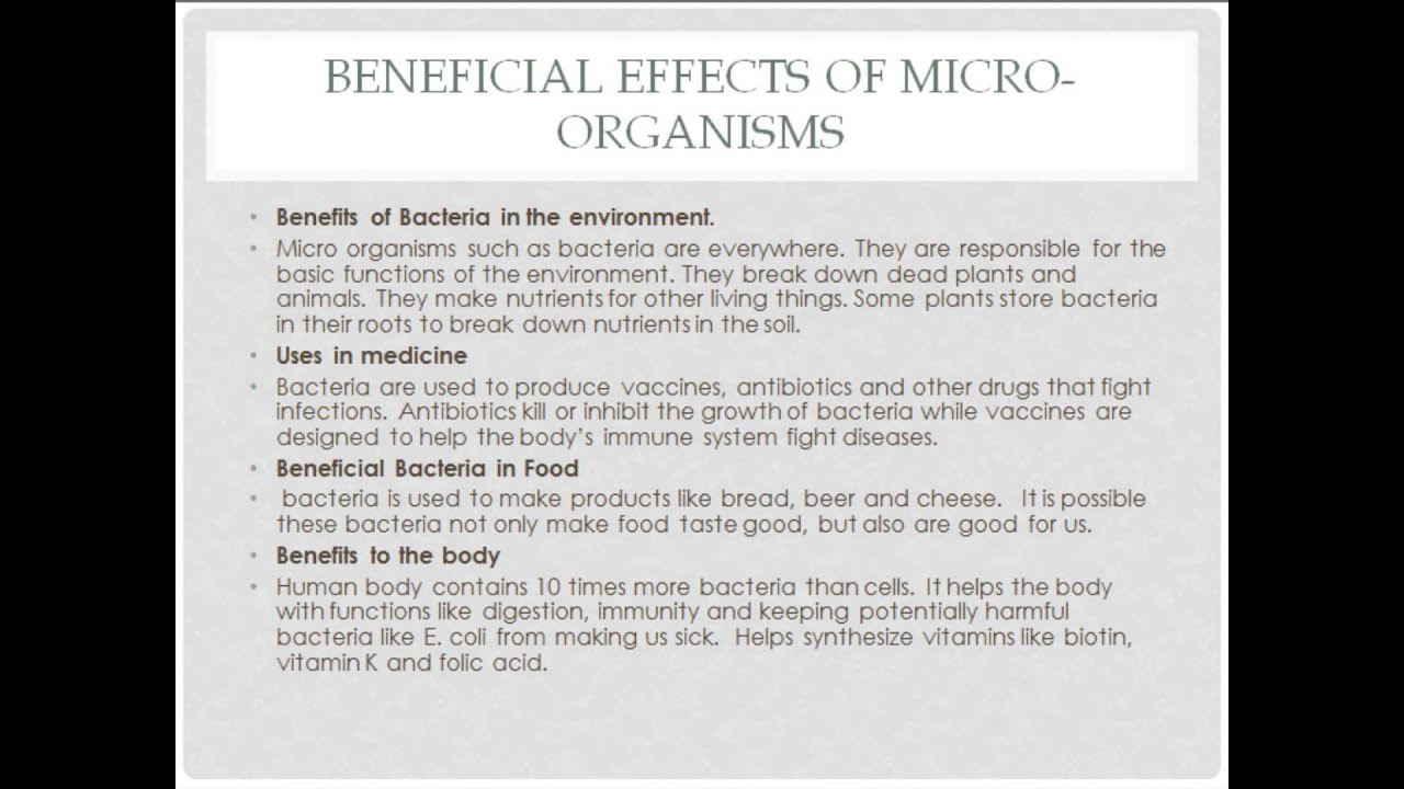 Beneficial and Harmful Effects On Micro-organisms - YouTube