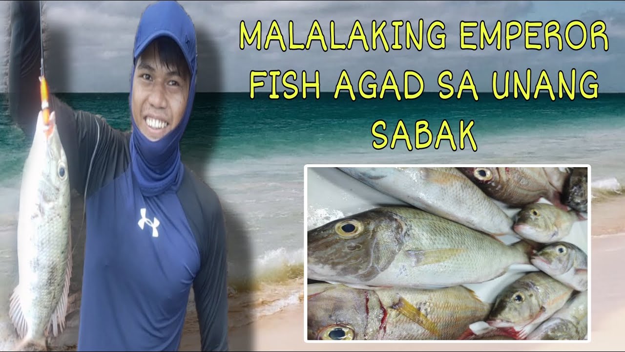 EP.1 UNANG SABAK SA FISHING || MALALAKI ANG EMPEROR FISH SA SPOT NA TO ...