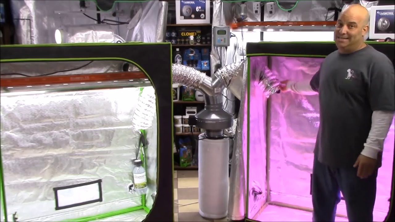 VENTING YOUR CANNABIS GARDEN - FANS, FILTERS, VENTING, ADDING CO2, AIR ...