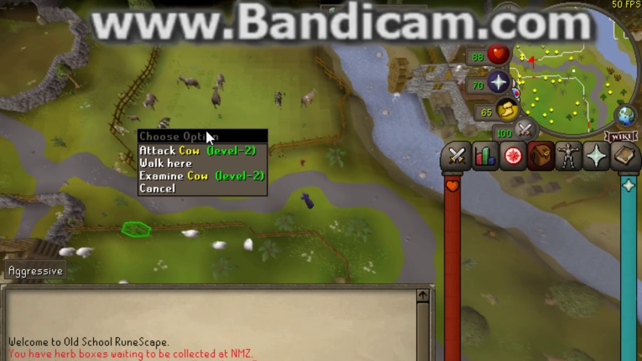 How To Get A Cabbage In Runescape - YouTube